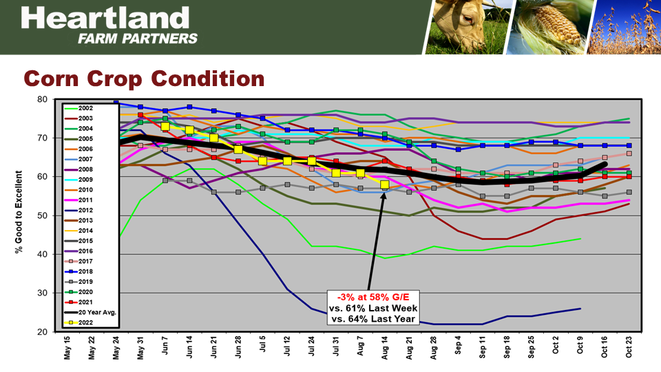 Corn Crop Condition | Heartland Farm Partners
