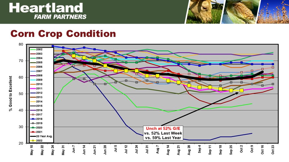 Corn Crop Condition | Heartland Farm Partners